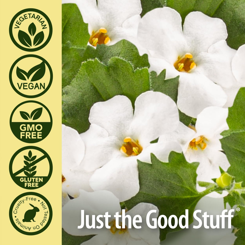Herbal supplement for improved focus