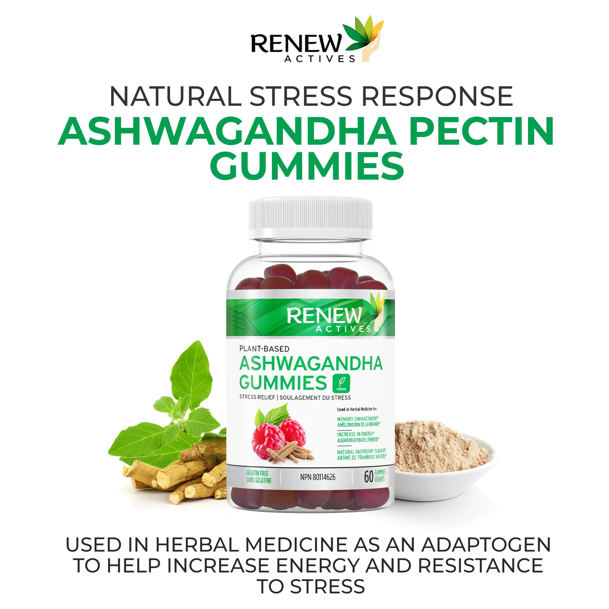 herbal supplement for increased focus