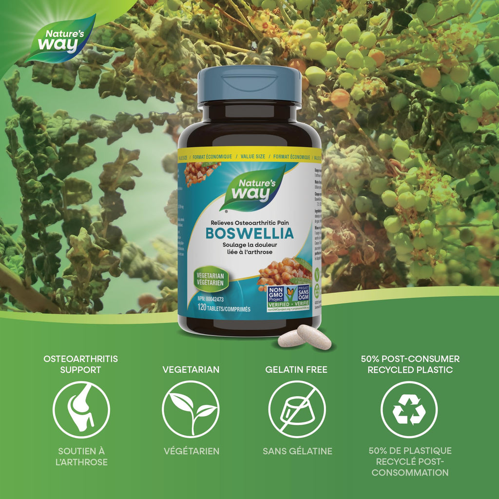 herbal supplement for joint support