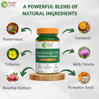 herbal supplement for kidney health