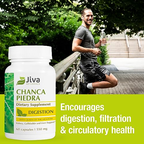 herbal supplement for kidney health