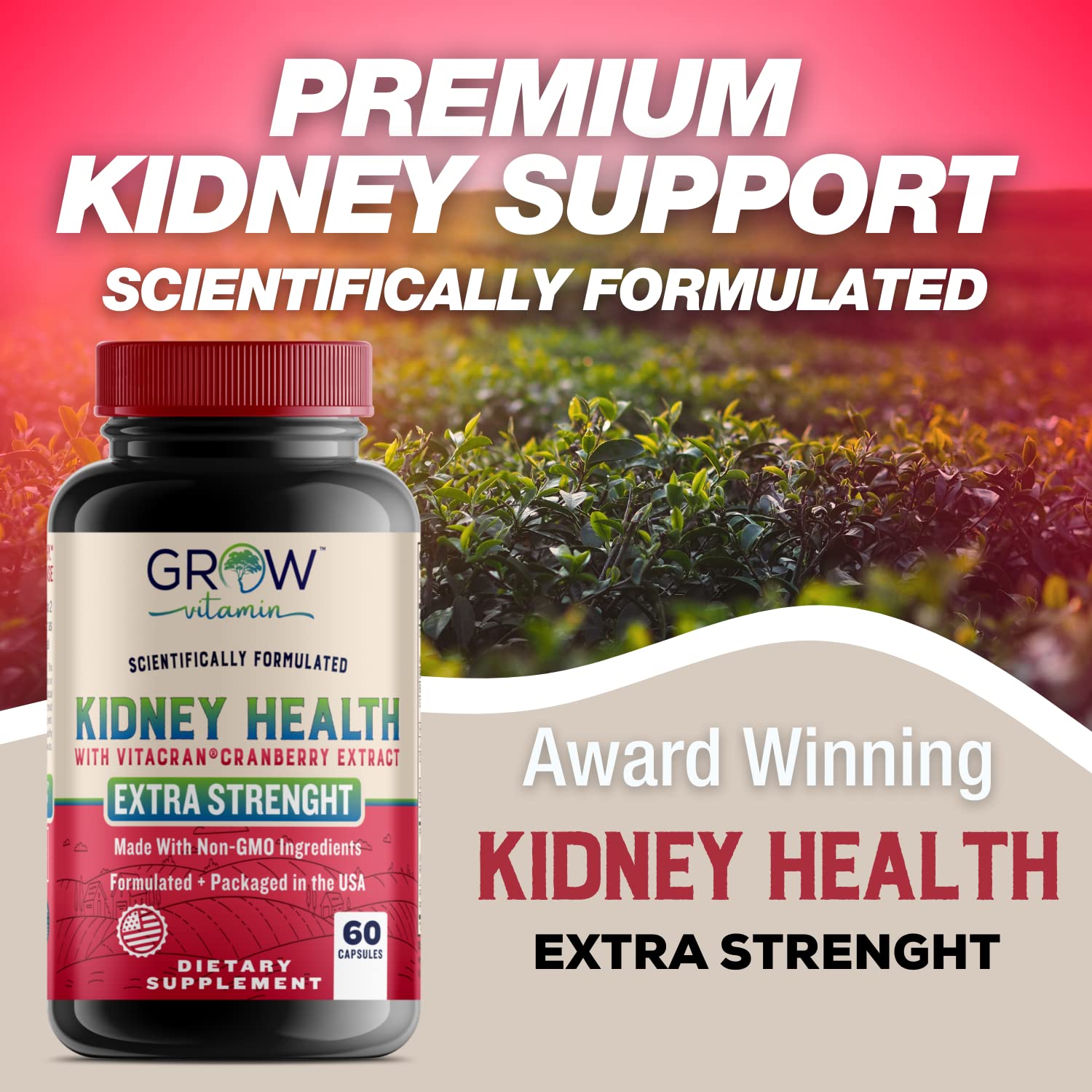 herbal supplement for kidney health