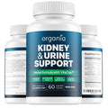 herbal supplement for kidney health