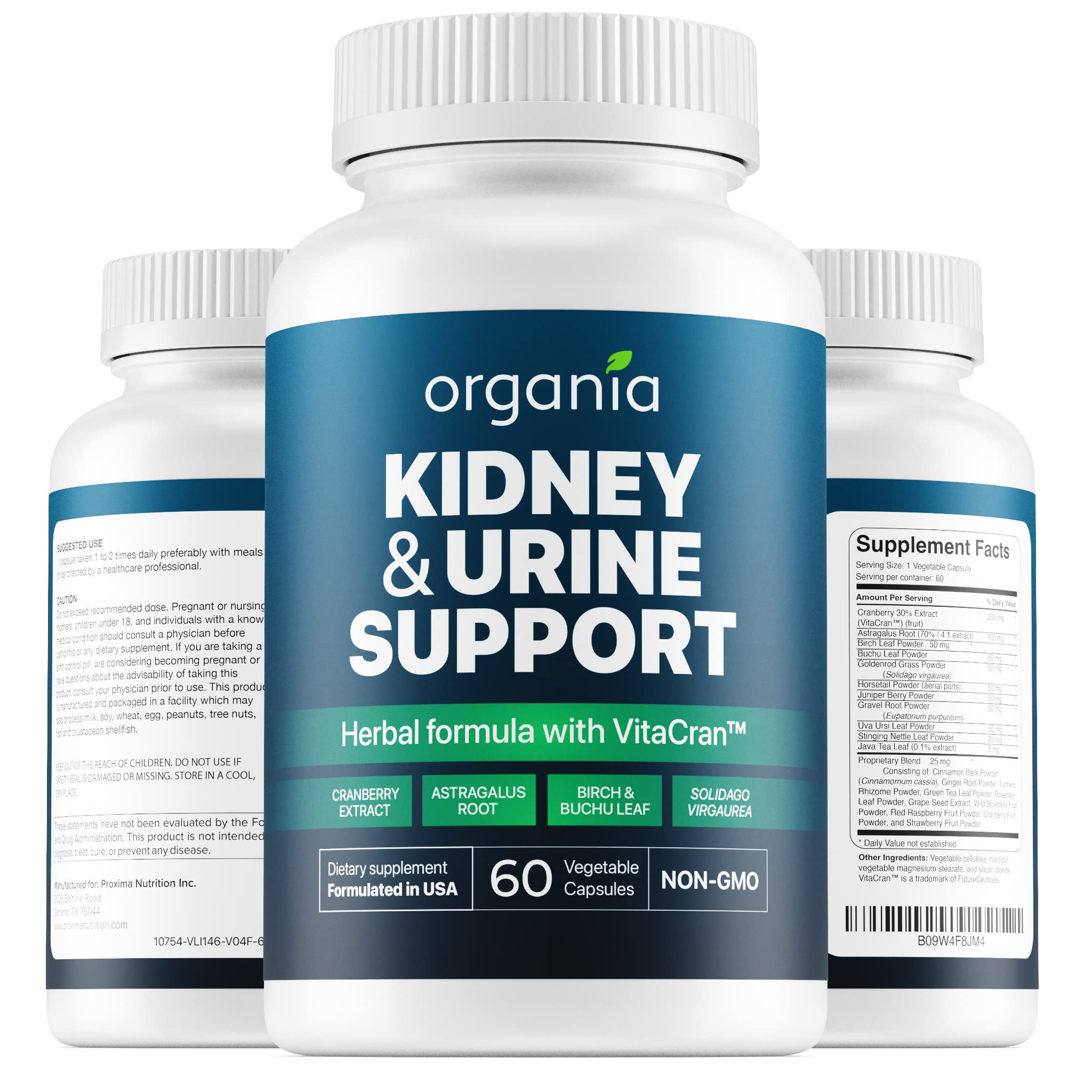 herbal supplement for kidney health