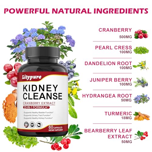herbal supplement for kidney repair