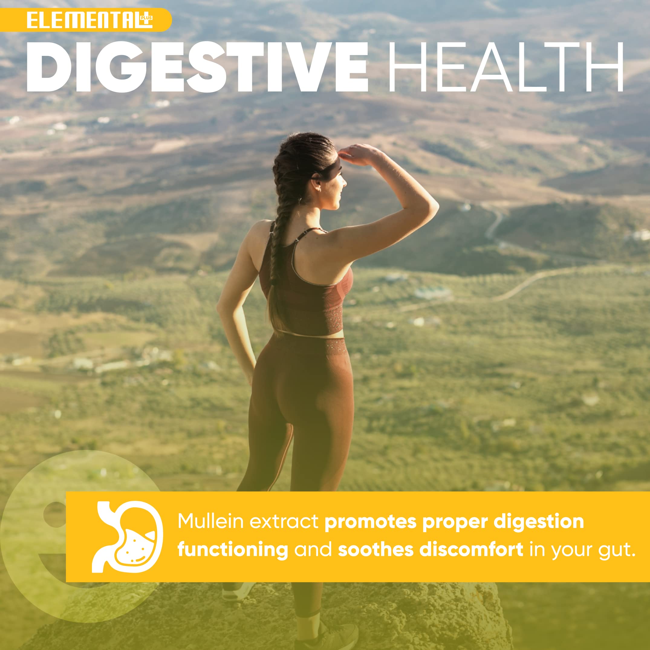 herbal supplement for lung support