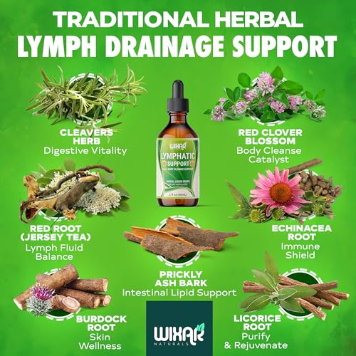 herbal supplement for lymphatic health