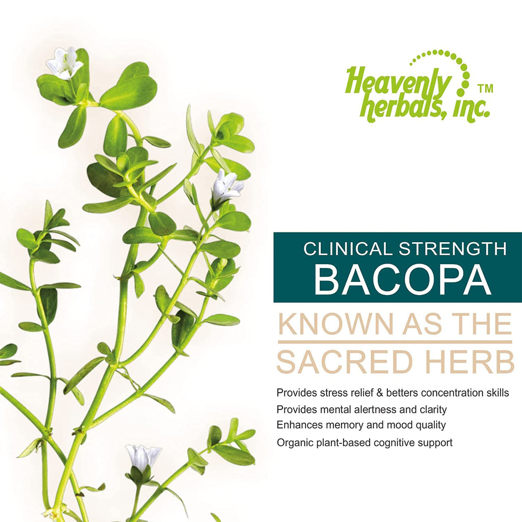 herbal supplement for mental clarity
