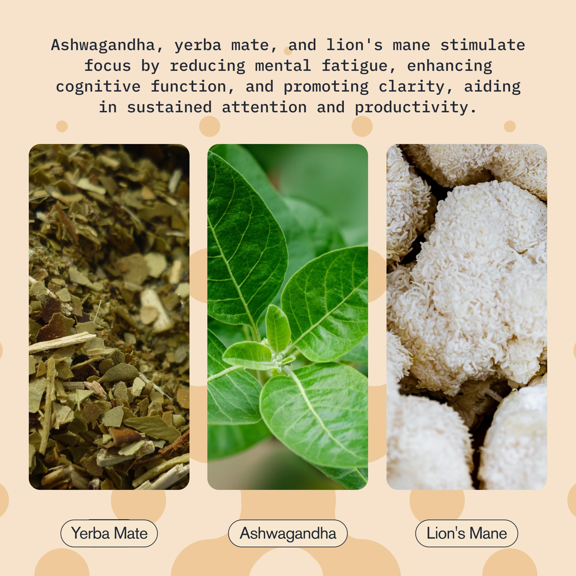 Herbal supplement for mental clarity