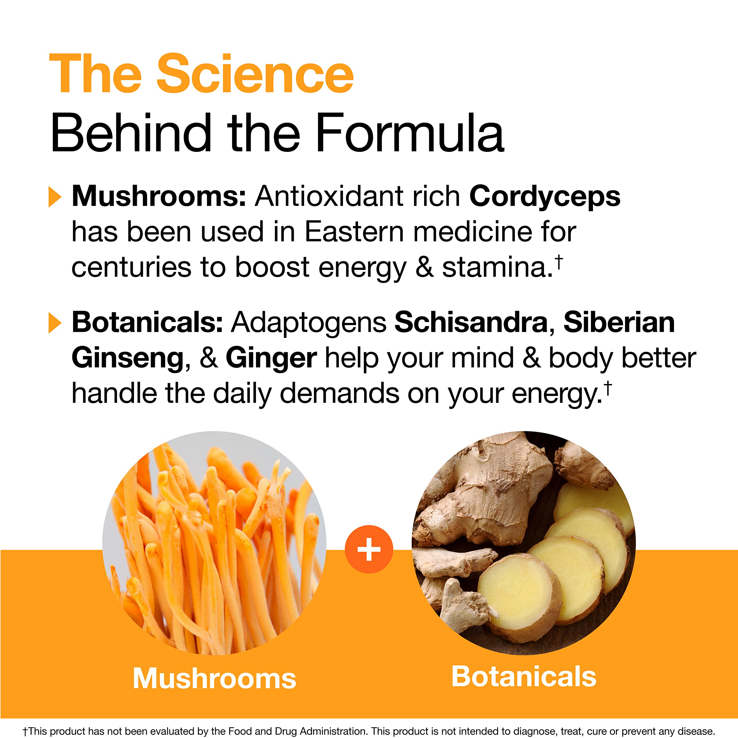 herbal supplement for mental clarity