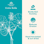 herbal supplement for mental clarity