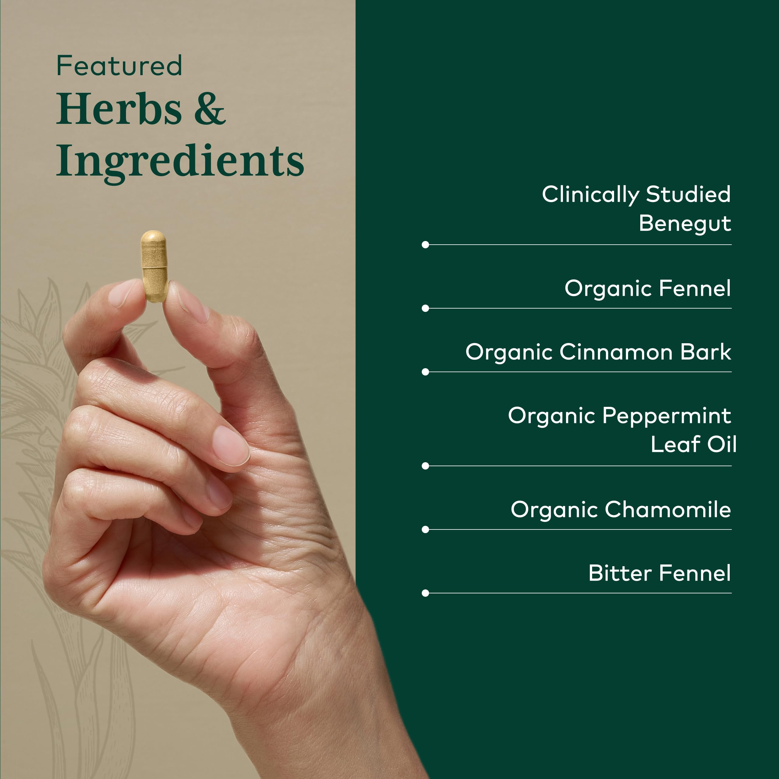 herbal supplement for occasional gas