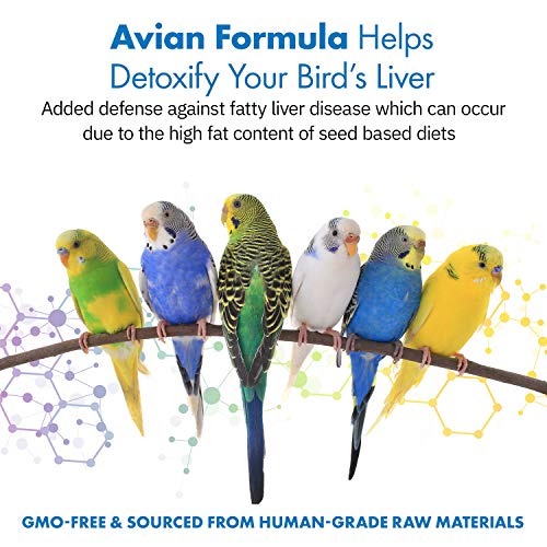herbal supplement for parrot health