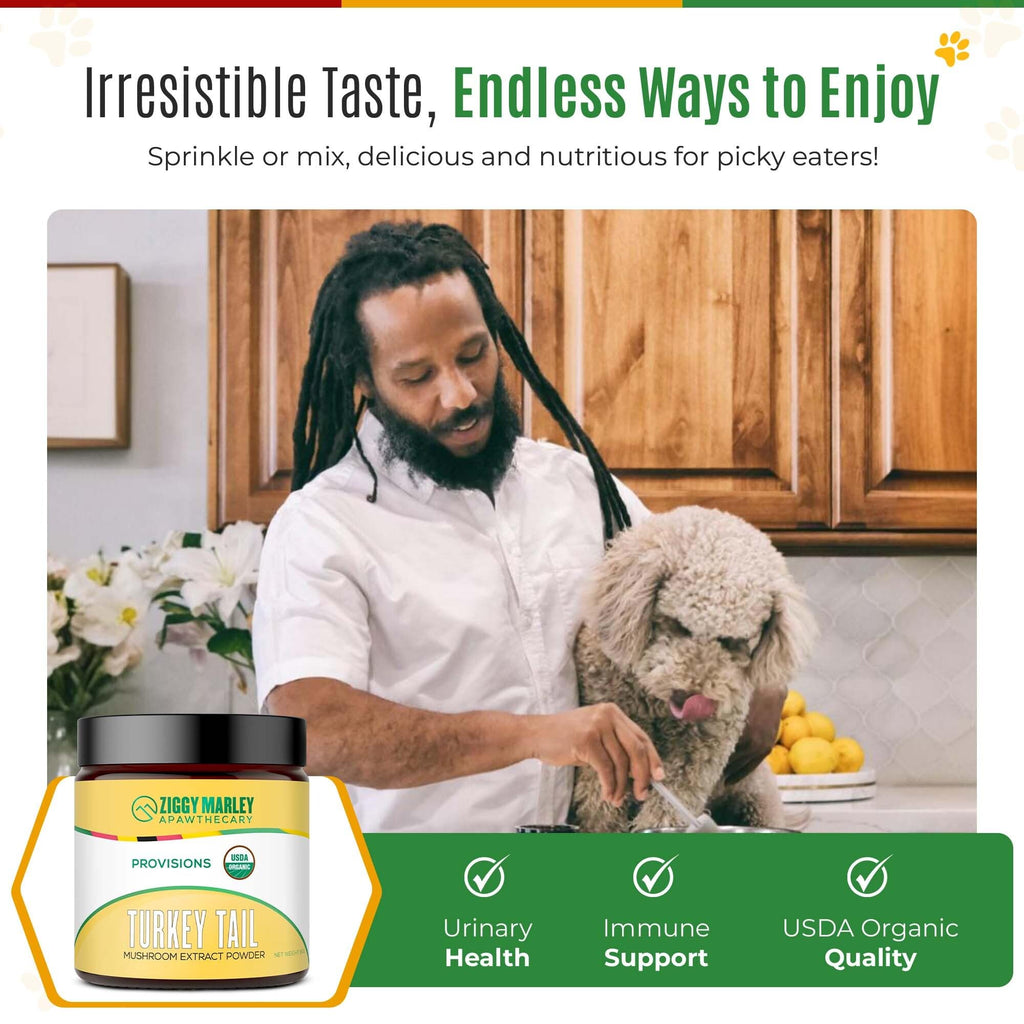 herbal supplement for pet wellness