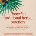 herbal supplement for prostate health