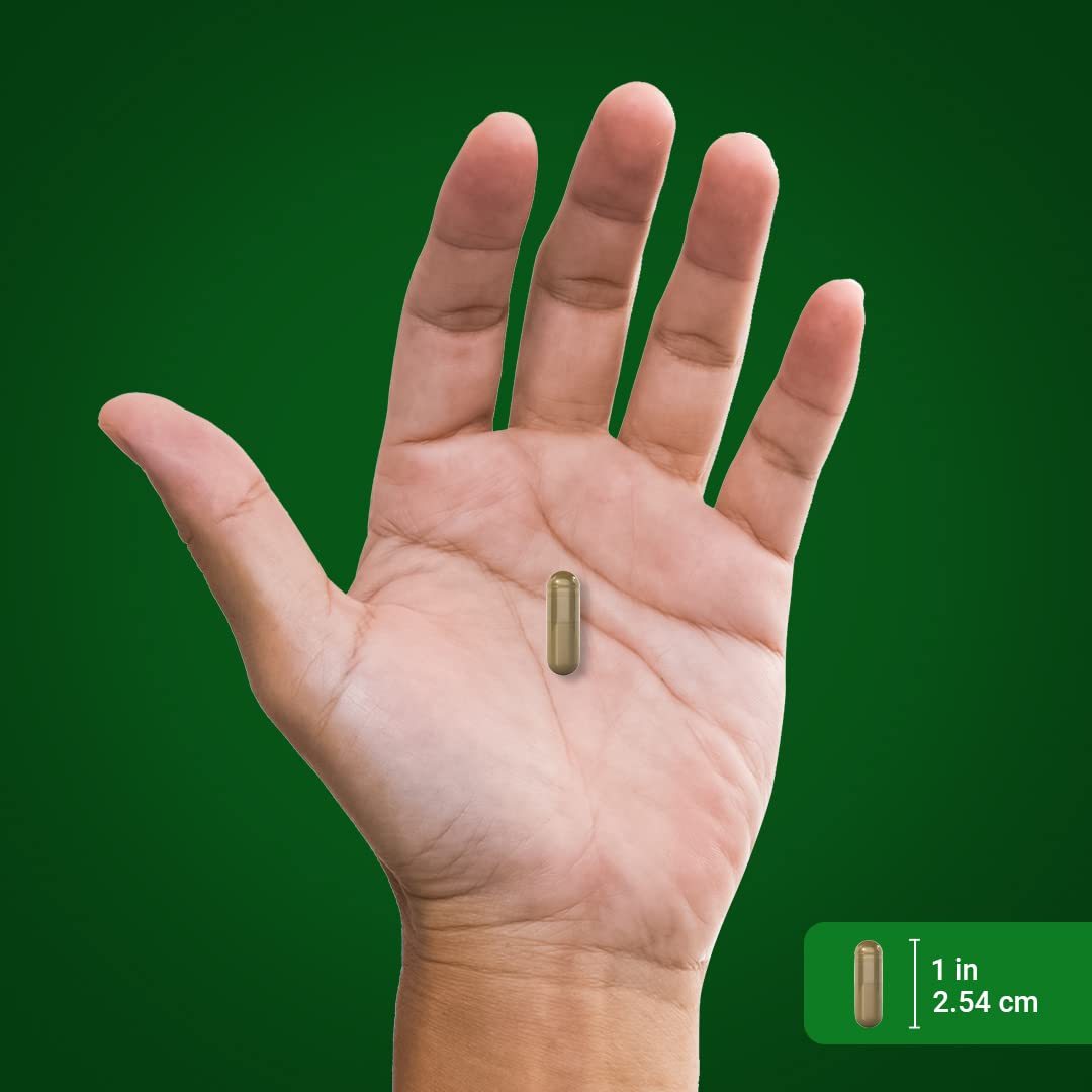 herbal supplement for prostate support
