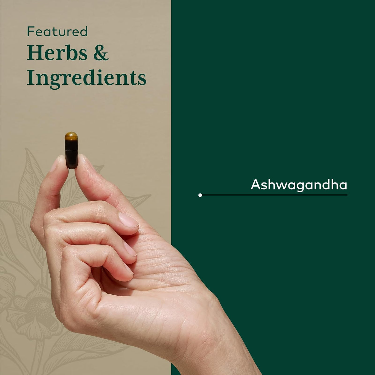 herbal supplement for relaxation