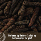 Herbal supplement for respiratory support