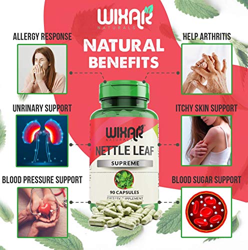 herbal supplement for stinging nettle