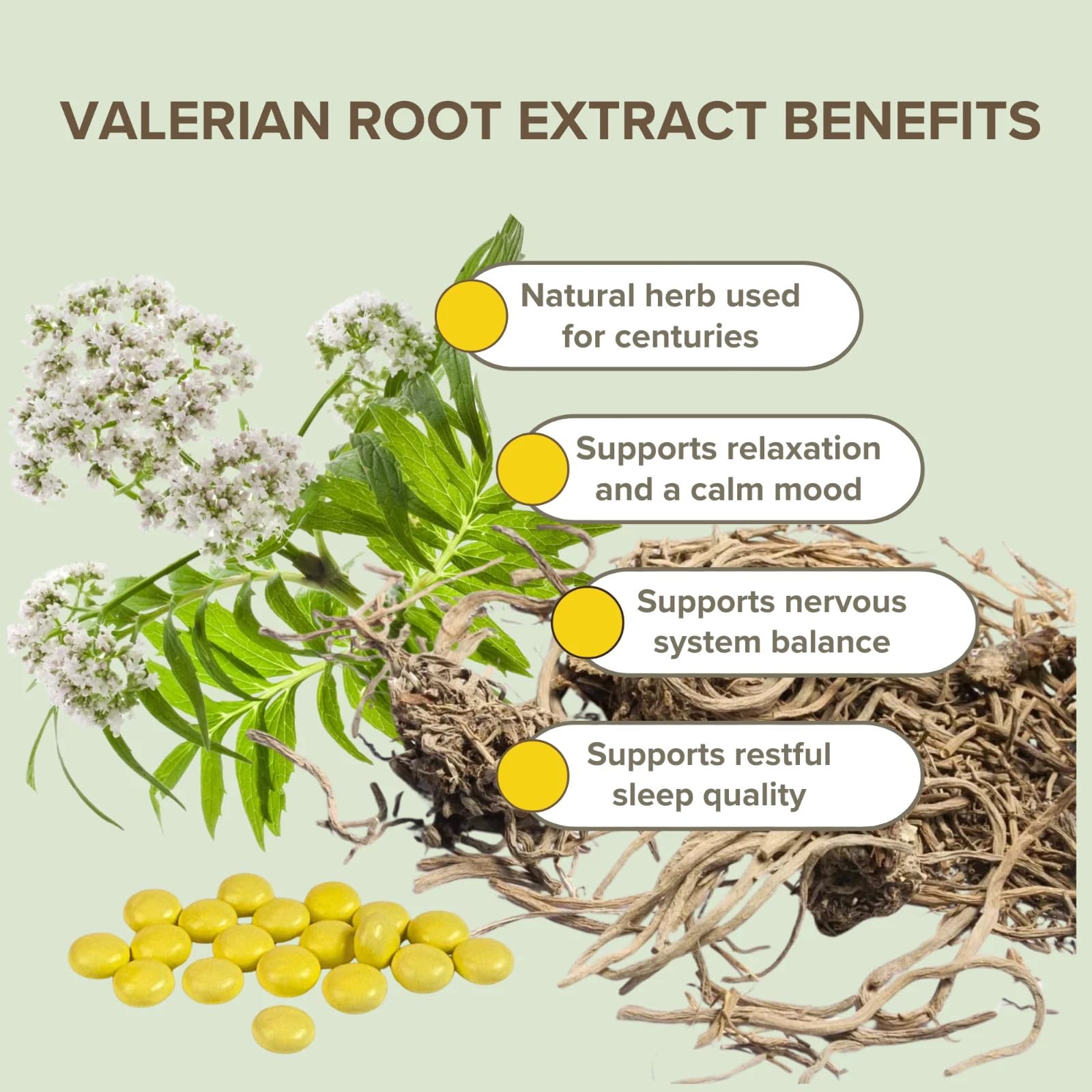 Herbal supplement for stress relief