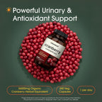 herbal supplement for urinary health