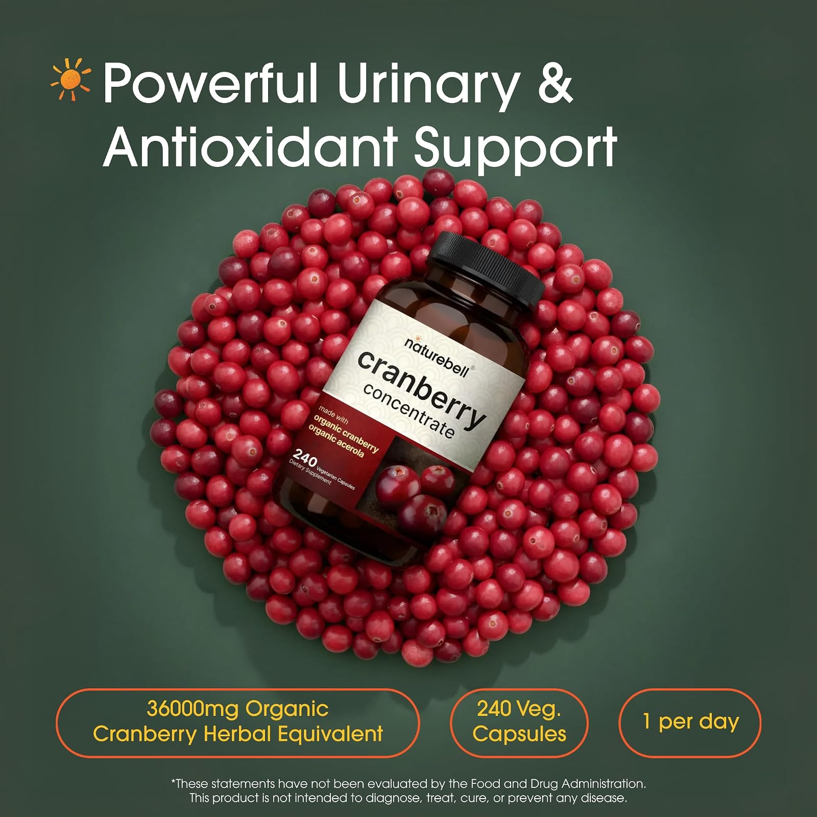 herbal supplement for urinary health