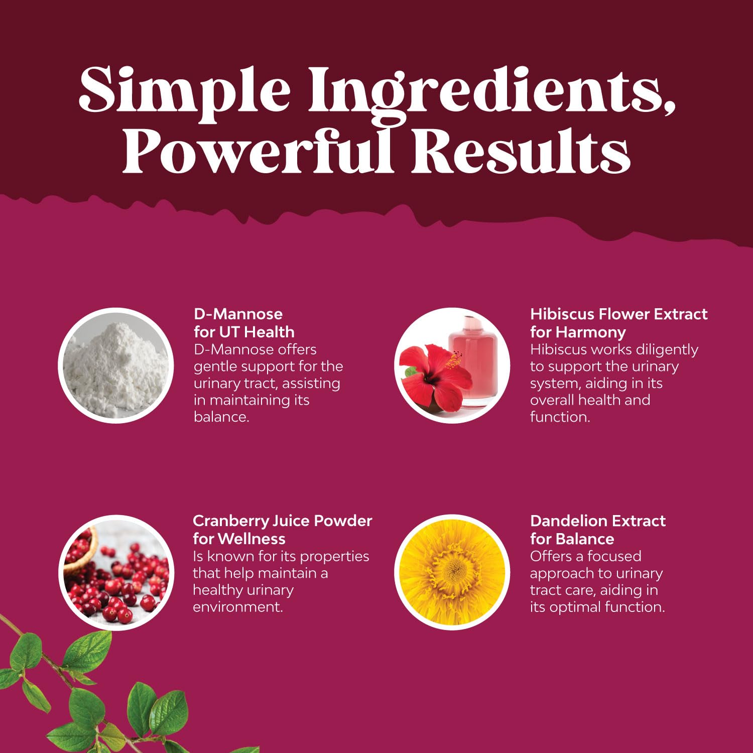 Herbal supplement for urinary tract support