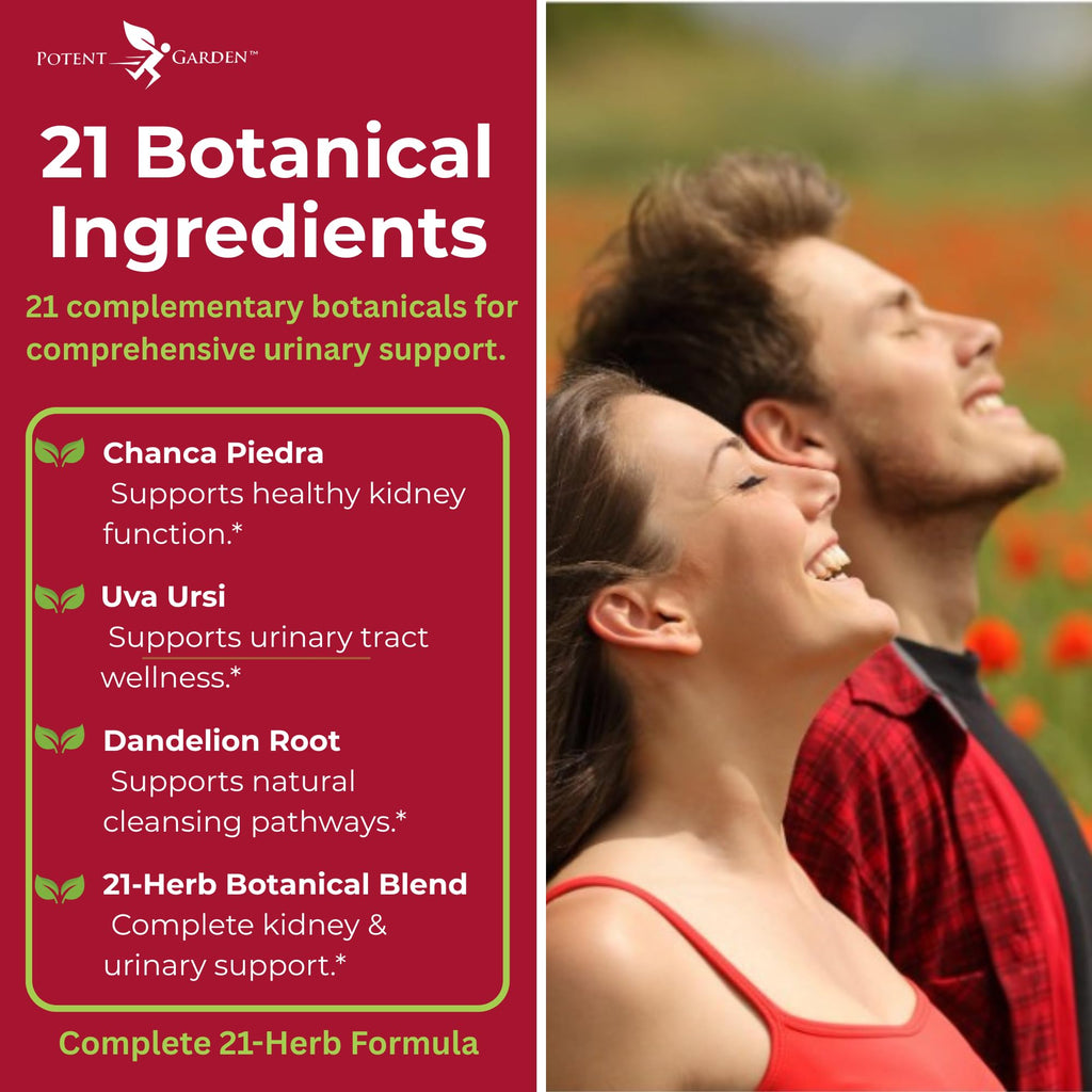 herbal supplement for urinary wellness
