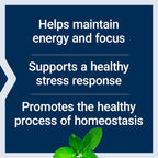 herbal supplement for vitality ashwagandha
