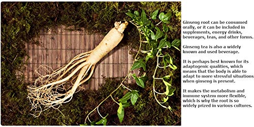 herbal supplement for vitality