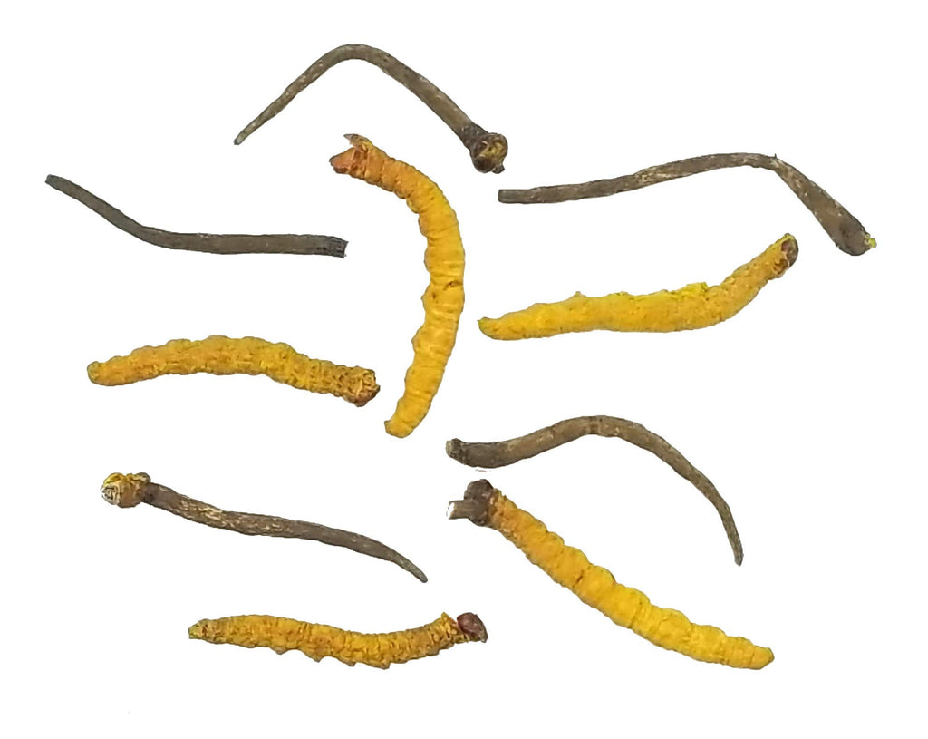 herbal supplement for vitality