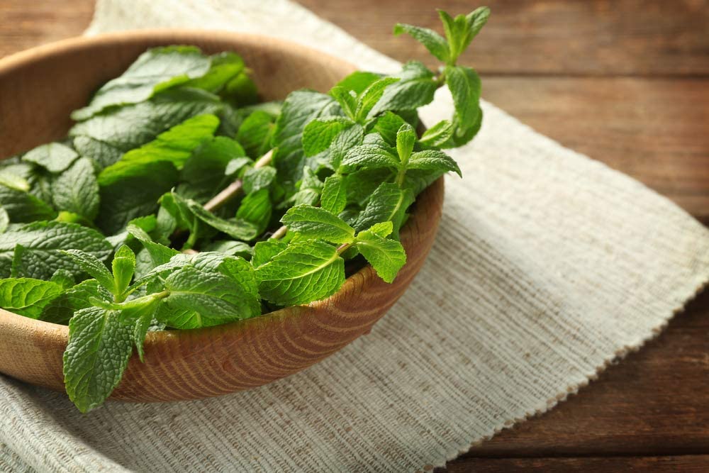 herbal supplement for wellness