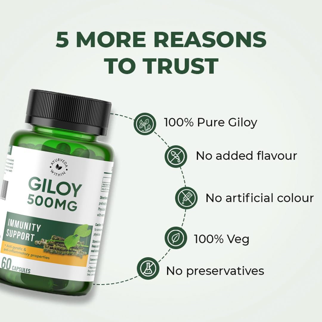 herbal supplement giloy capsules