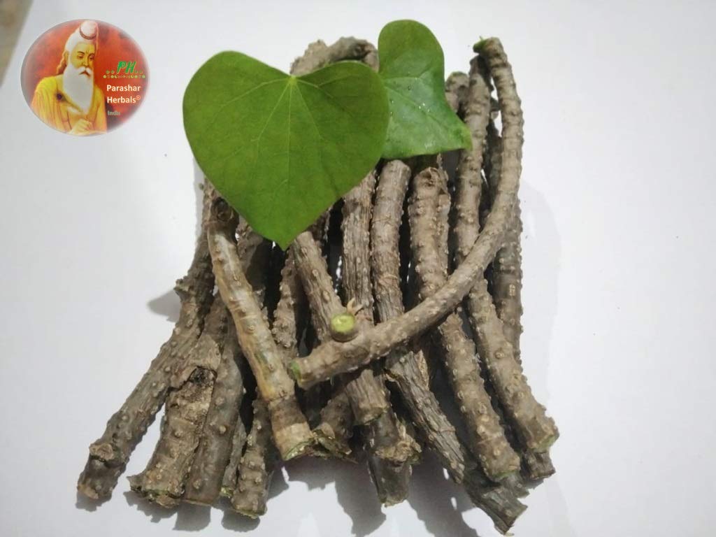herbal supplement giloy for energy