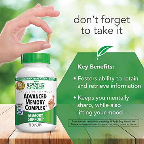 herbal supplement ginkgo biloba benefits