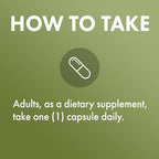 herbal supplement ginkgo biloba