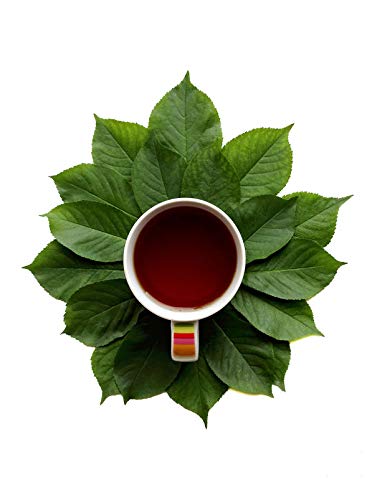 herbal supplement ginseng for energy