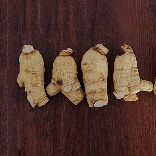herbal supplement ginseng for rejuvenation