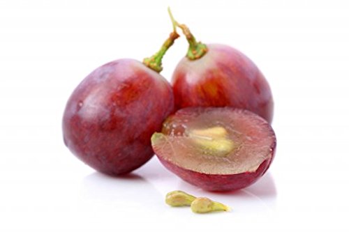 herbal supplement grape seed extract