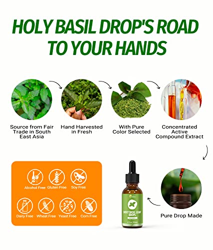 herbal supplement holy basil dosage