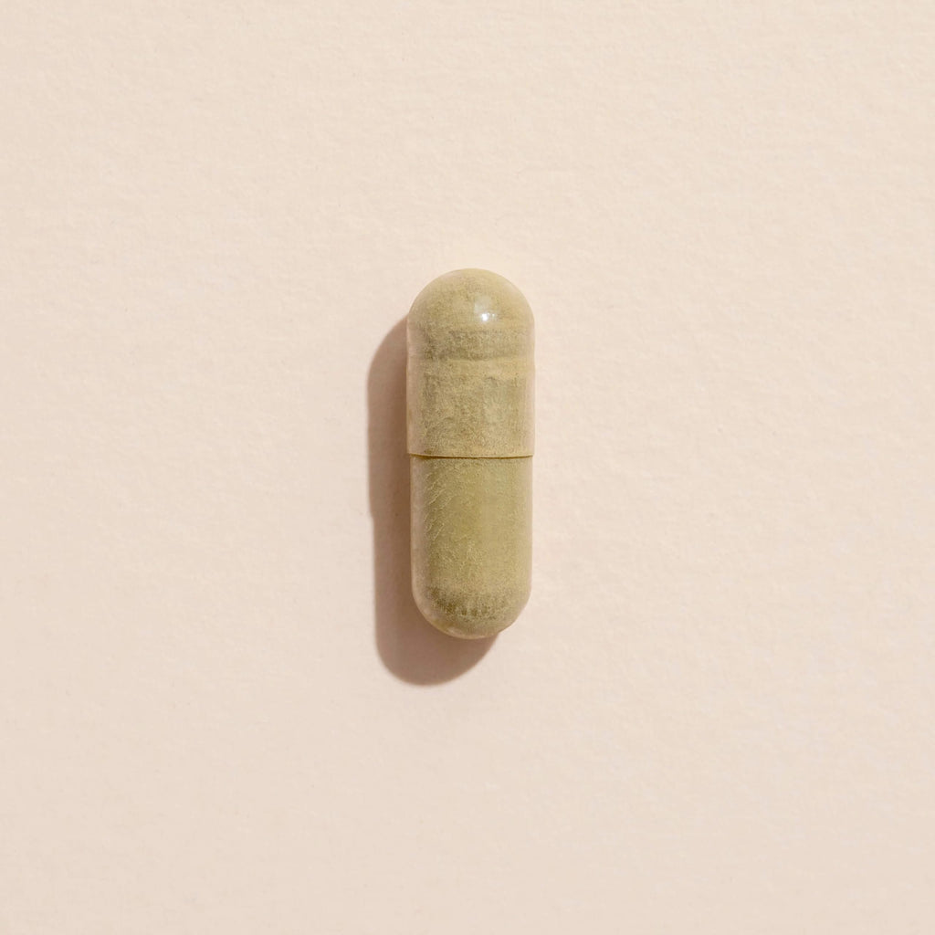 herbal supplement holy basil for wellness
