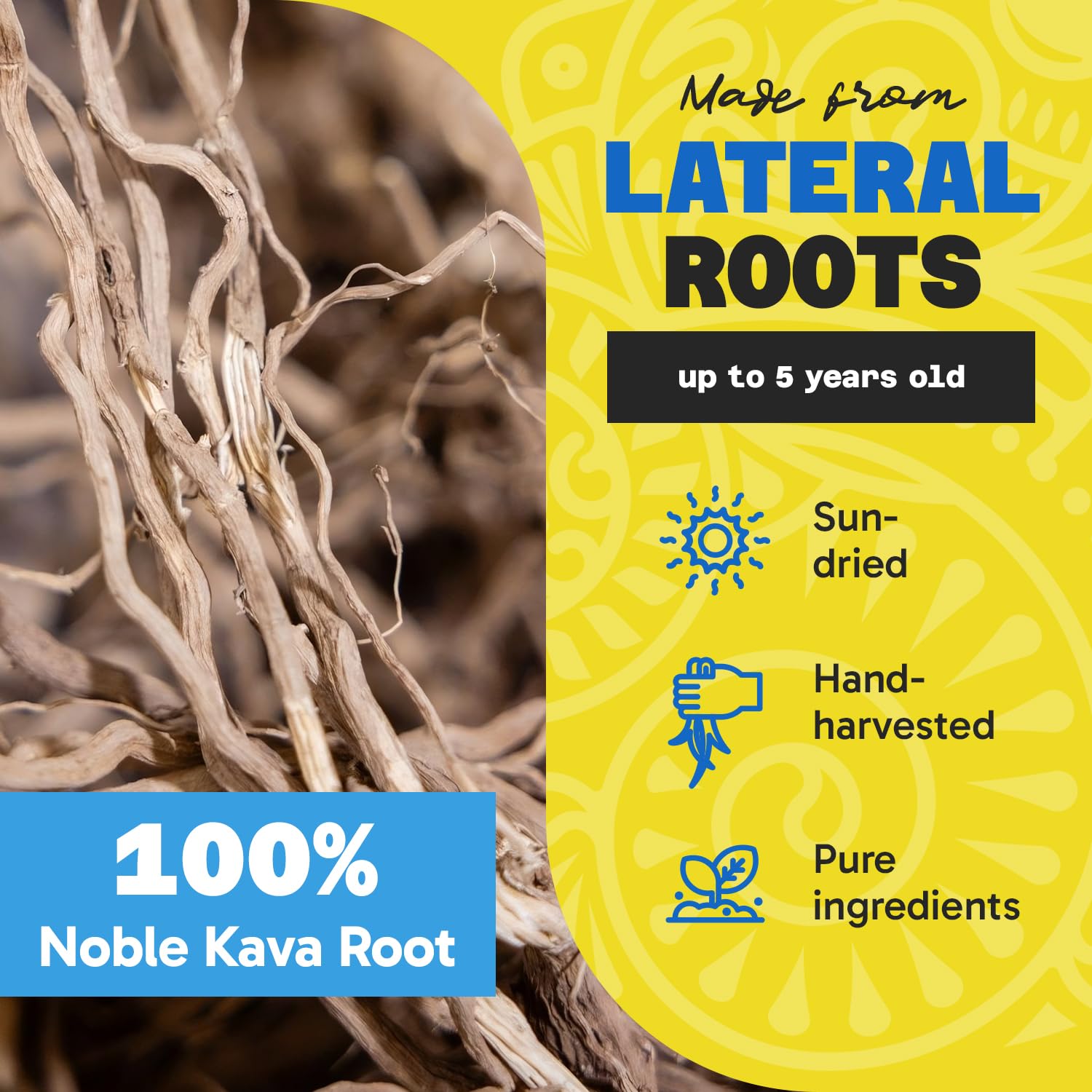 herbal supplement kava kava