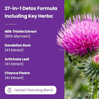 herbal supplement milk thistle capsules