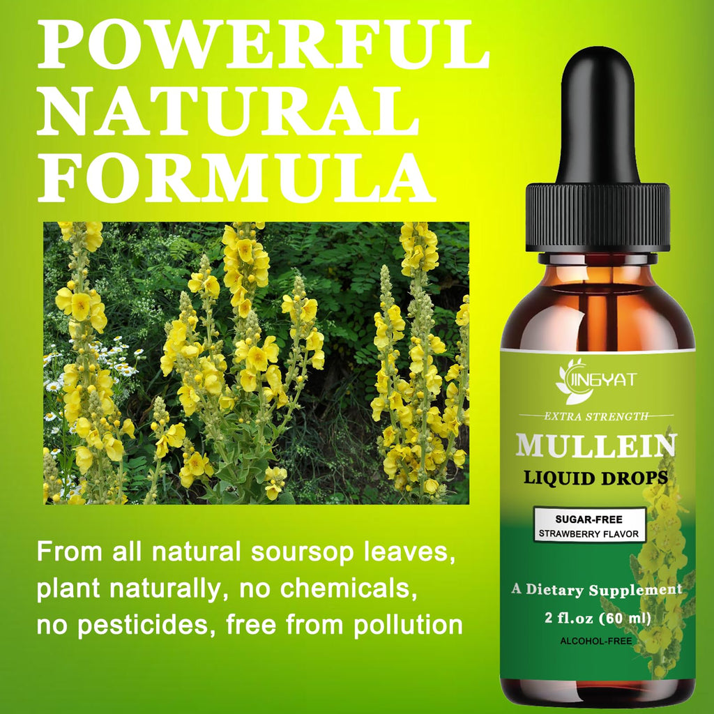 herbal supplement mullein for lung cleanse