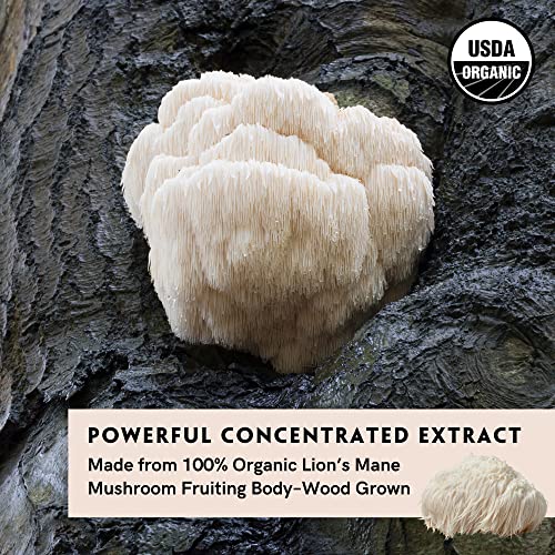 Herbal supplement mushrooms for stress relief