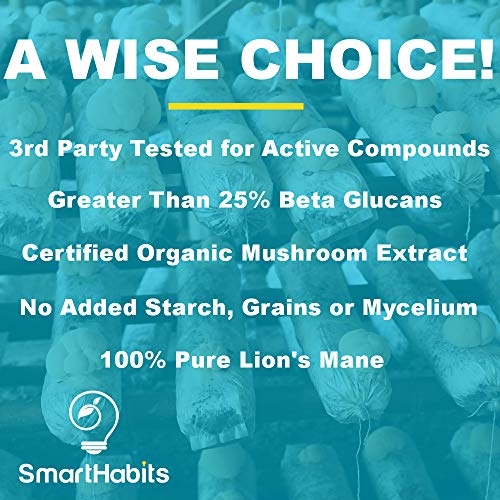 herbal supplement mushrooms for wellness