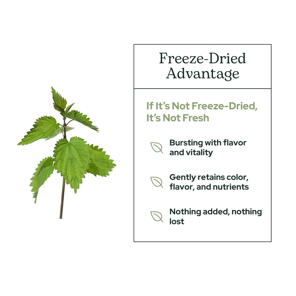 Herbal supplement nettle leaf powder