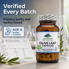 herbal supplement olive leaf extract