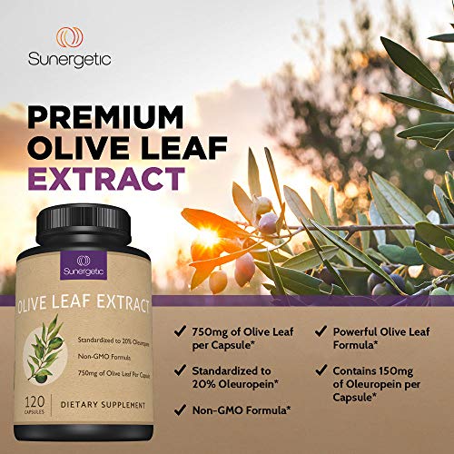herbal supplement olive leaf extract