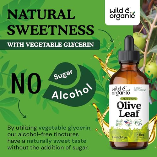 herbal supplement olive leaf extract